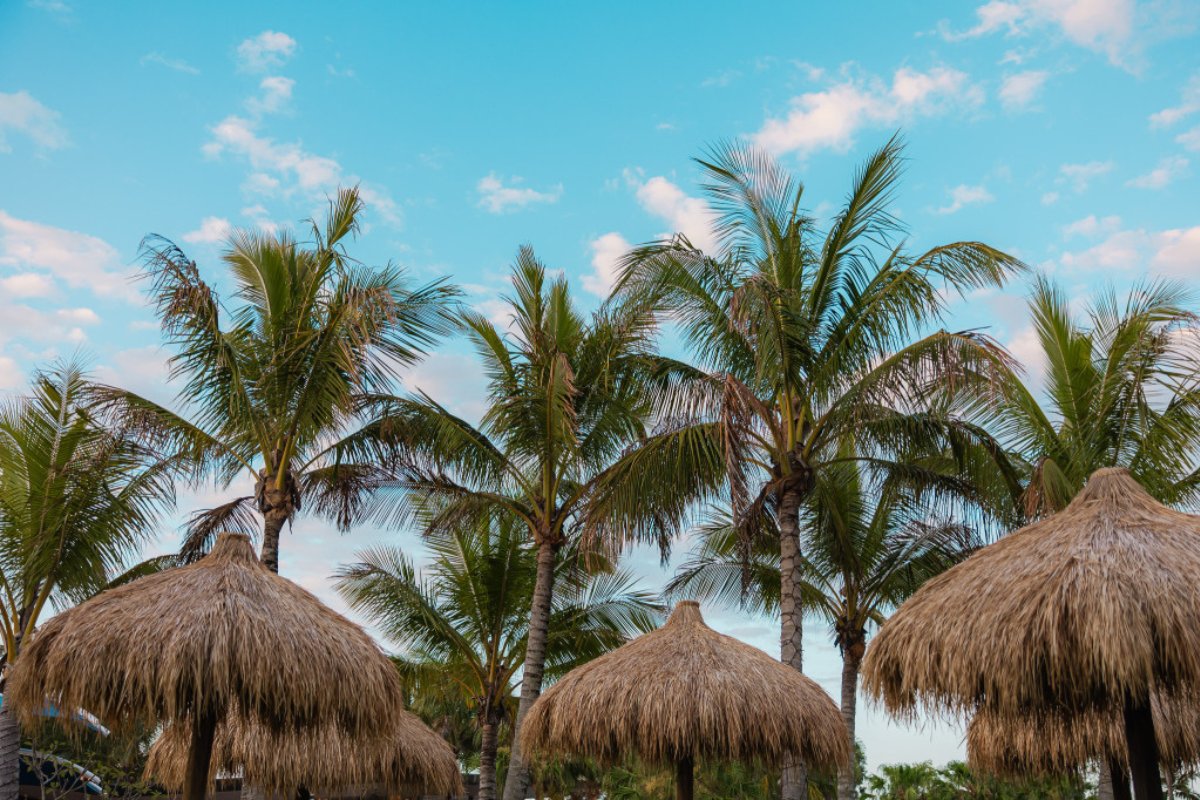 Bali & African Thatch Roofing – Island Outdoors Australia